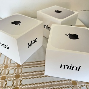 Apple Mac Mini (2024) (M4 10-core/16GB/256GB SSD/MacOS) 10-Core GPU ...