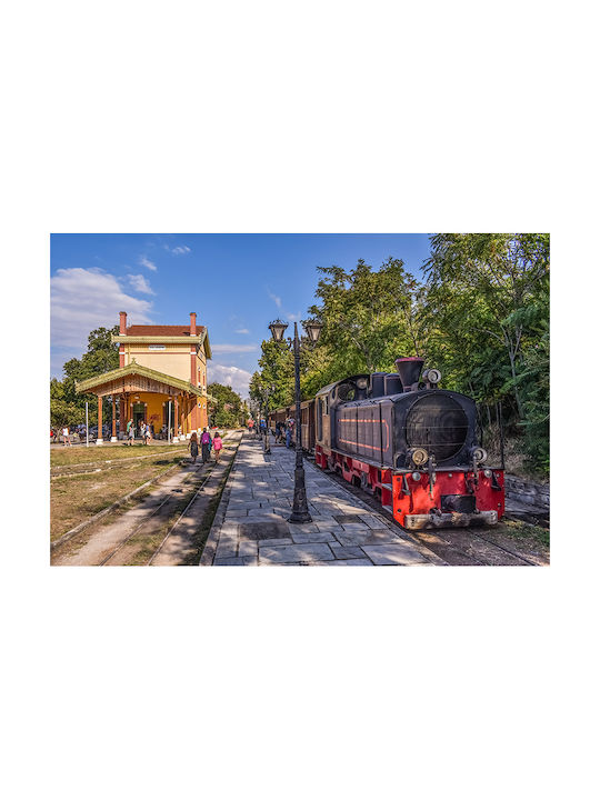 Stickerman Πίνακας σε Καμβά 160x107cm ST10002108 | Skroutz.gr