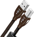 Audioquest USB 2.0 Cable USB-A male - USB-B male 0,75m (Coffee) | Skoop by Skroutz