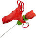 Cottelli Collection Valentines Red Rose With A Disguised Surprise Thong ...