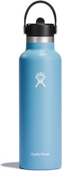 Hydro Flask Thermos Bottles | Skroutz.mt