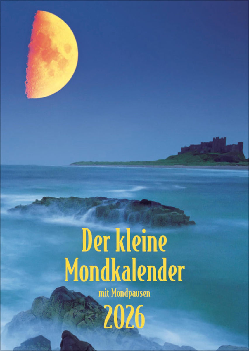 Little Moon Kalender 2026 Buch Kalender Wöchentlich Planer Terminplaner ...