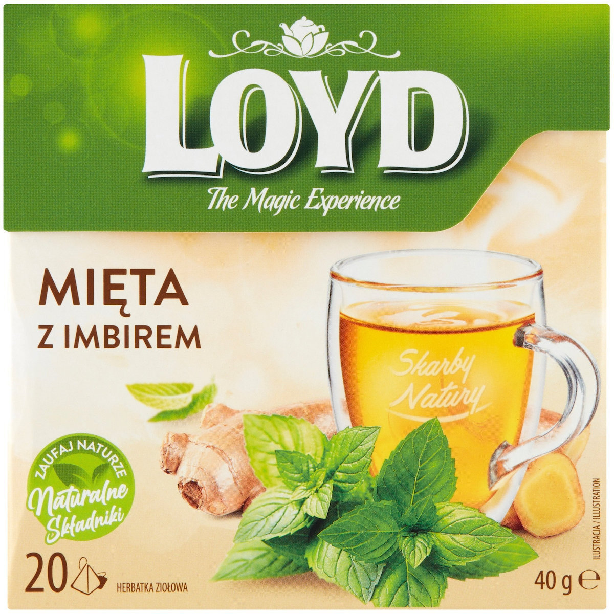 Loyd Herbal Tea Loyd Mint Ginger 20 Pyramid Bags | Skroutz.gr